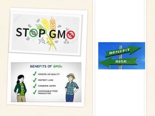 Gmo why not | PPT