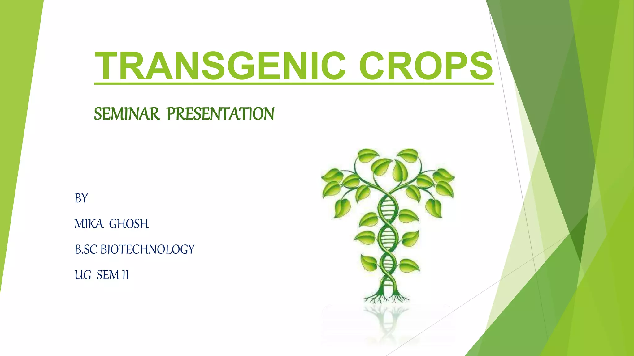Transgenic crops | PPTX