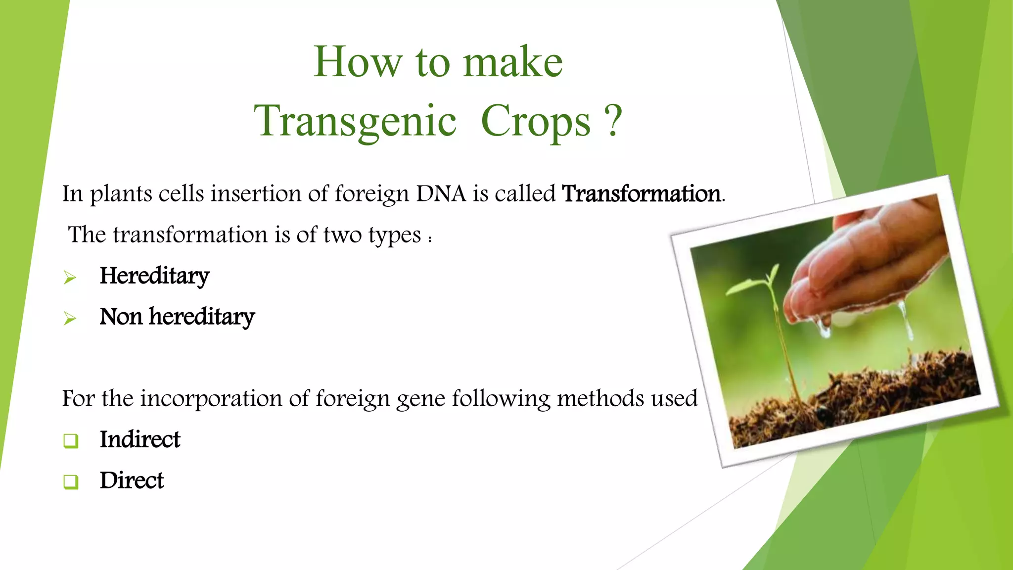 Transgenic crops | PPTX