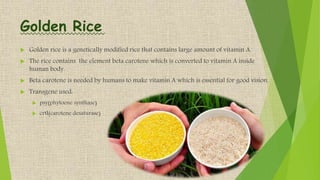 Transgenic crops | PPTX