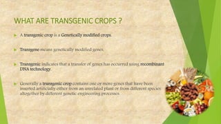Transgenic crops | PPTX