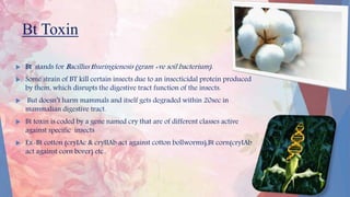 Transgenic crops | PPTX