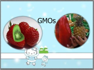 พืช Gmo222 | PDF