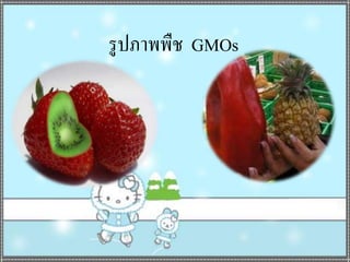 พืช Gmo222 | PPTX