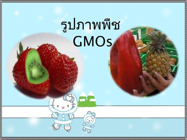 พืช Gmo222 | PPT