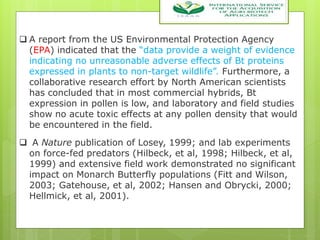 Gmo and environment | PPTX