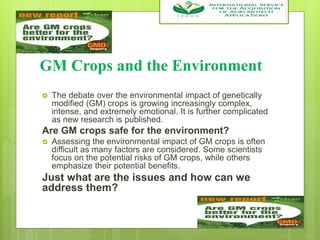 Gmo and environment | PPTX