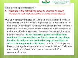 Gmo and environment | PPTX