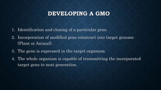Genetically Modified Organisms (GMO) & Public Perception | PPT