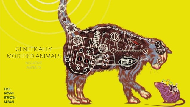 GMO animals.pptx | Biotech and Biomedical Industry | Industries
