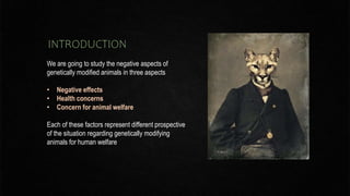 GMO animals.pptx | Biotech and Biomedical Industry | Industries