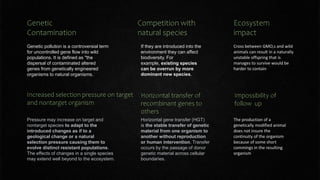 GMO animals.pptx | Biotech and Biomedical Industry | Industries