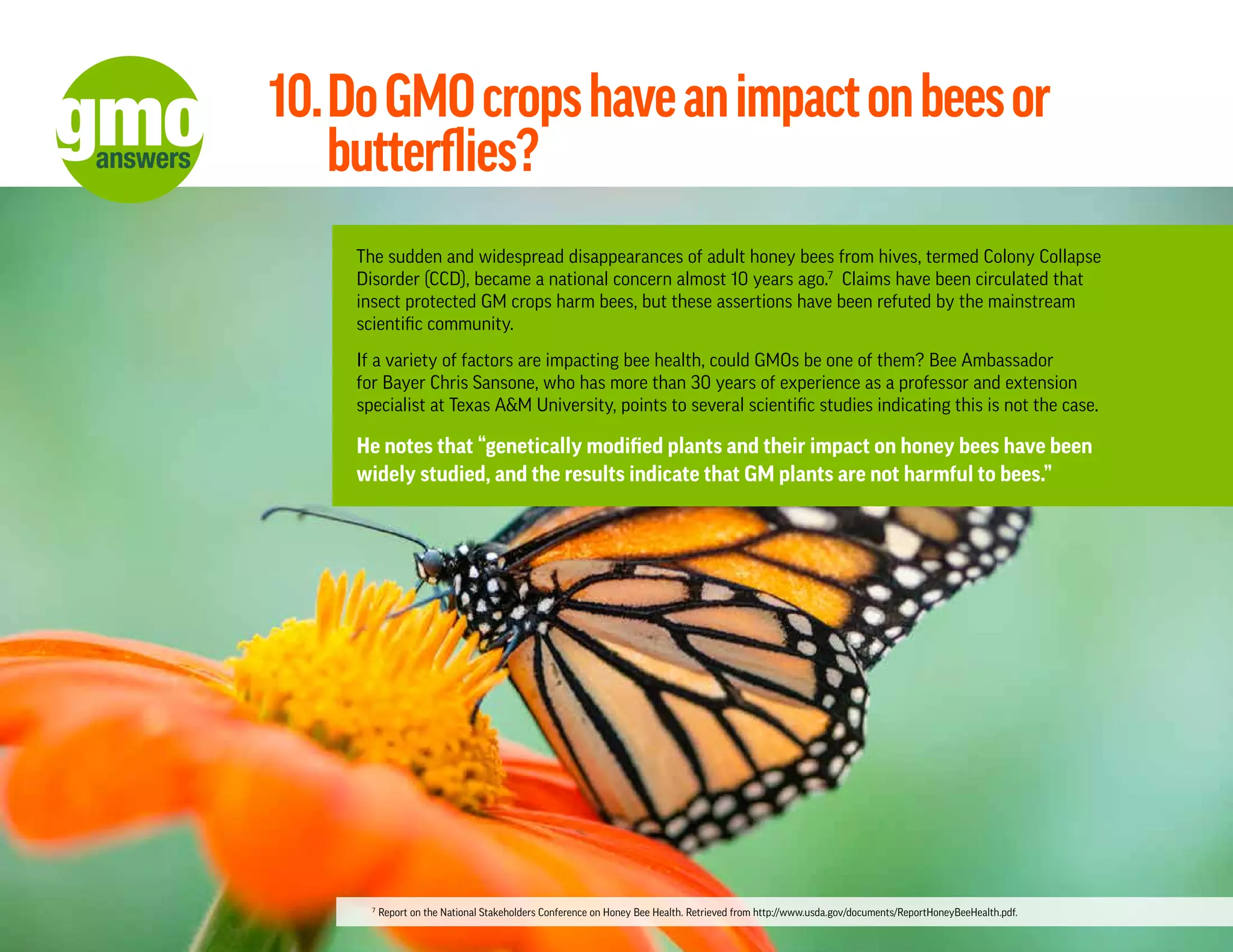 GMO Answers Top 10 Questions | PPT