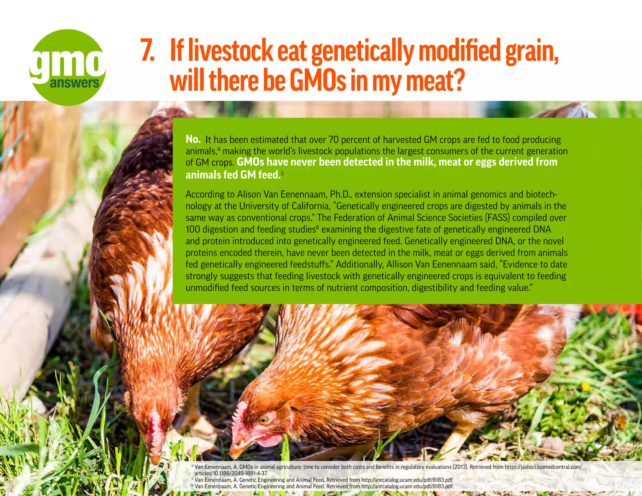 GMO Answers Top 10 Questions | PPT