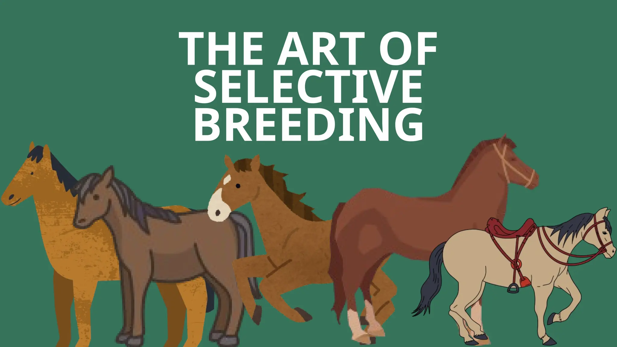 Selective Breeding Grade 9 Output GMO_Breeding.pptx