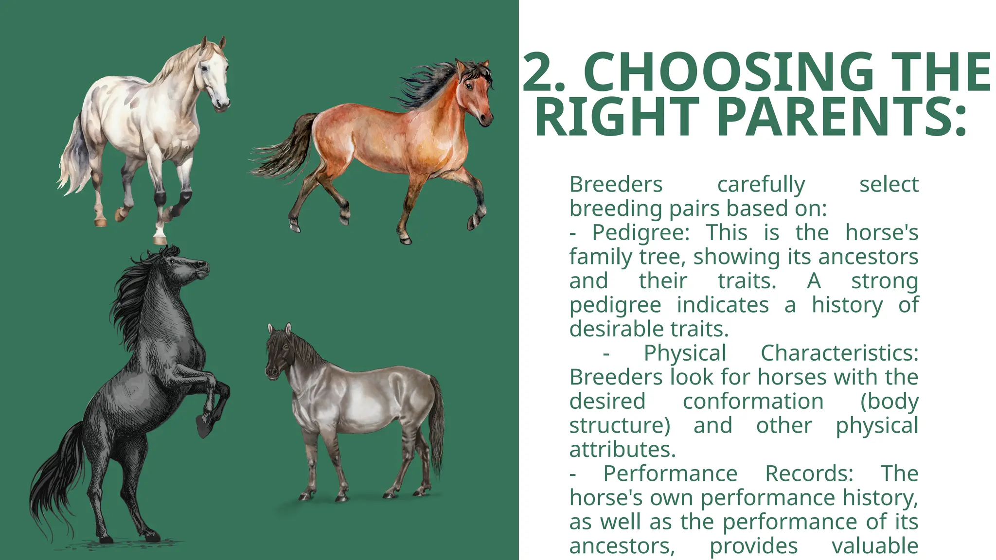 Selective Breeding Grade 9 Output GMO_Breeding.pptx