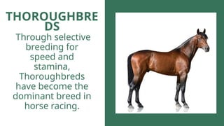 Selective Breeding Grade 9 Output GMO_Breeding.pptx