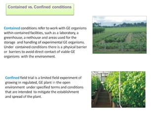 CFTs of GM crops | PPT