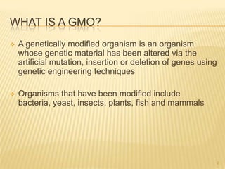 Gmo foods | PPTX