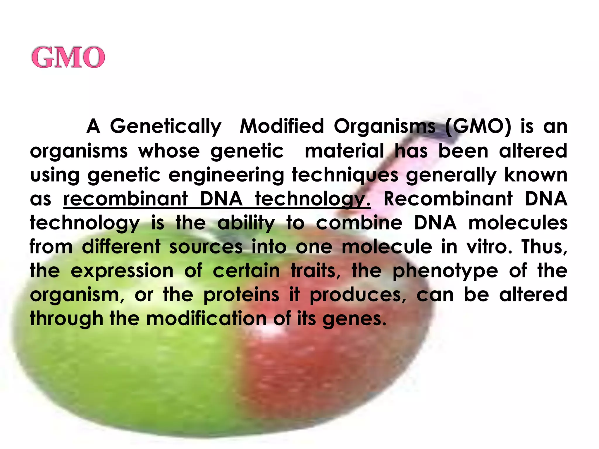 GMO POWERPOINT PRESENTATION | PPTX