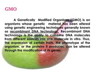 GMO POWERPOINT PRESENTATION | PPTX