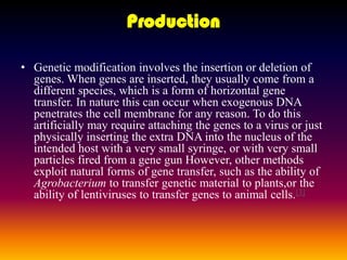Gmo pp. rose | PPTX
