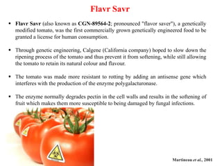 Nithin S A- Genetically modified food | PPTX
