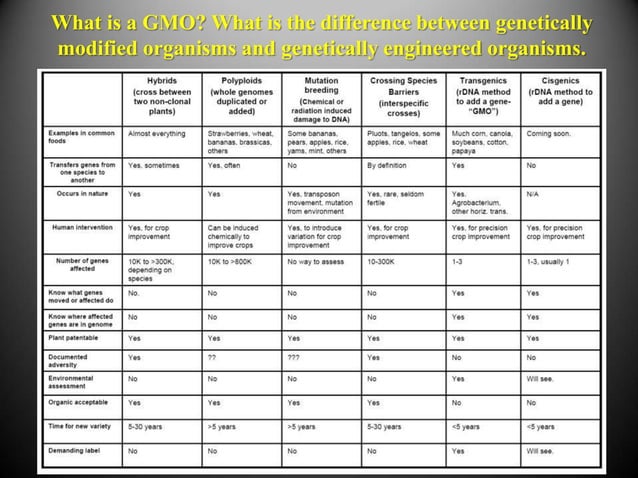 GMO PPT.ppt
