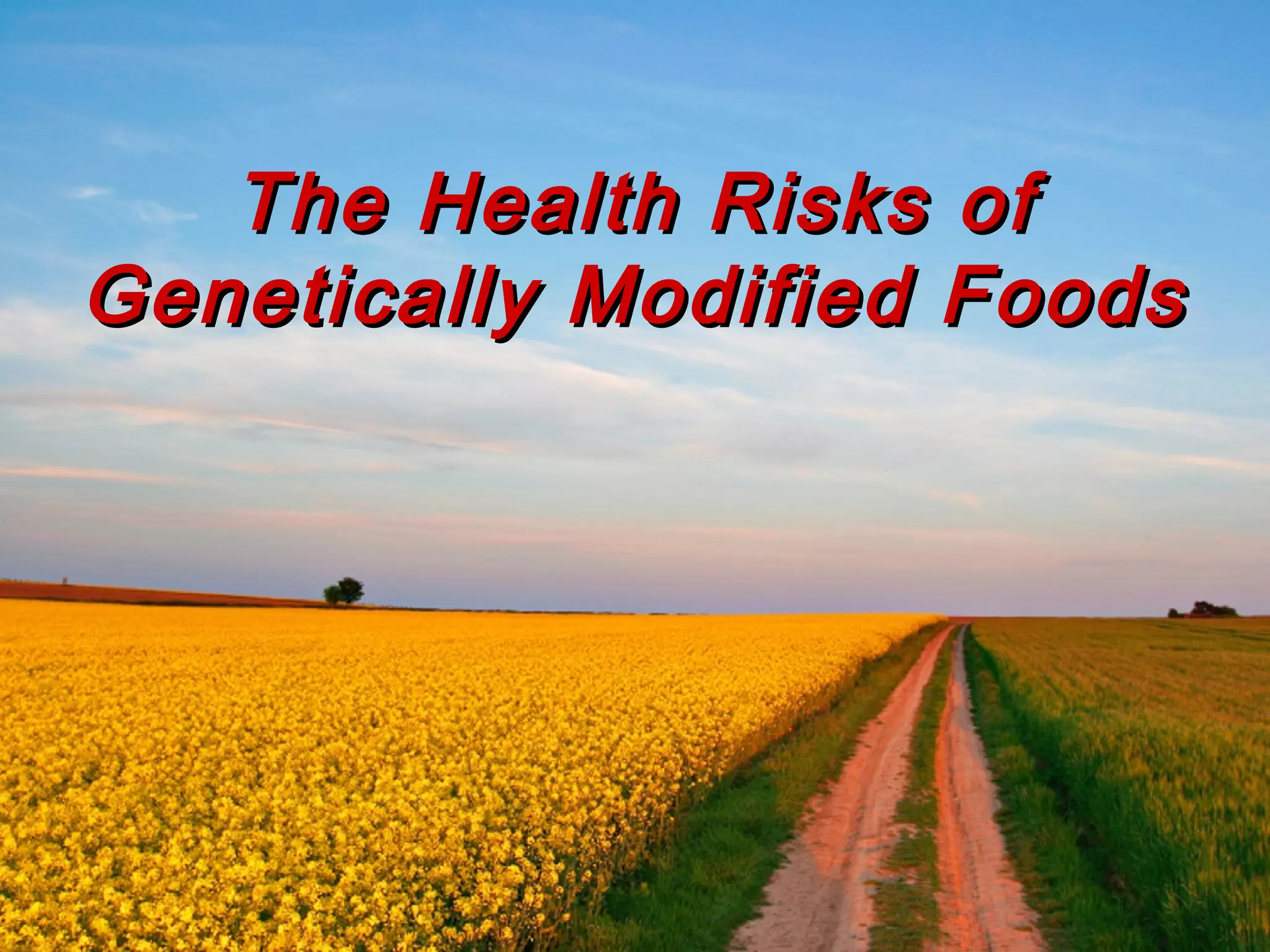 The Health Risks of Genetically Modified (GMO) Foods | PPT