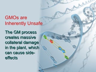 The Health Risks of Genetically Modified (GMO) Foods | PPT