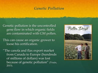 Gmo presentation | PPTX