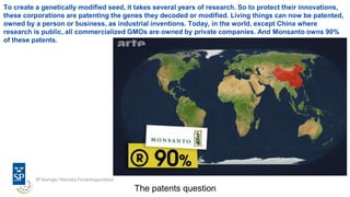 The GMO situation | PPTX