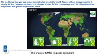 The GMO situation | PPTX