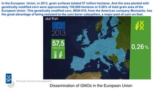 The GMO situation | PPTX