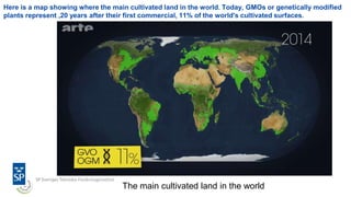 The GMO situation | PPTX