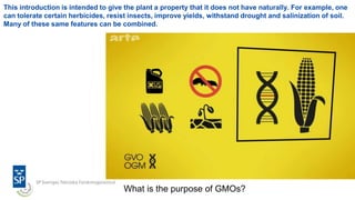 The GMO situation | PPTX