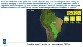 The GMO situation | PPTX