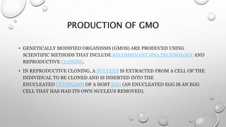 GENETICALLY MODIFIED ORGANISMS | PPTX | Genetics | Science