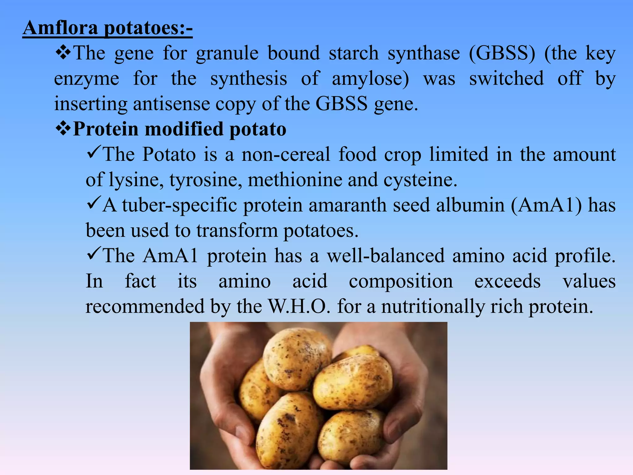 GENETICALLY MODIFIED FOOD | PPTX