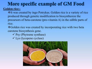 GENETICALLY MODIFIED FOOD | PPTX