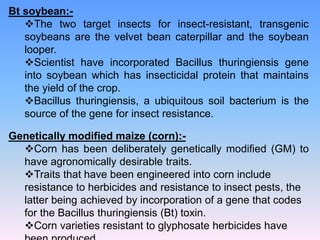 GENETICALLY MODIFIED FOOD | PPTX