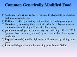 GENETICALLY MODIFIED FOOD | PPTX