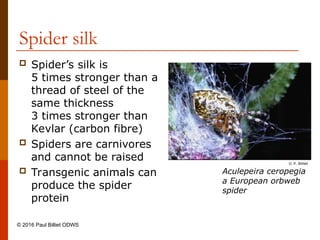 GENETICALLY MODIFIED ORGANISMS GRADE 10 TOPIC .ppt