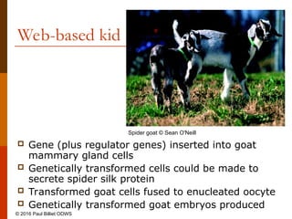 GENETICALLY MODIFIED ORGANISMS GRADE 10 TOPIC .ppt