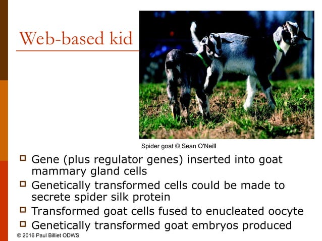 GENETICALLY MODIFIED ORGANISMS GRADE 10 TOPIC .ppt