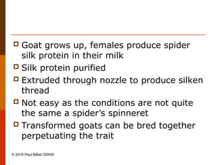 GENETICALLY MODIFIED ORGANISMS GRADE 10 TOPIC .ppt