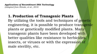 GMO, genetic engineering,geniticaly modified organisms | PPTX
