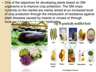 Gm os and social and ethical issues ppt | PPTX