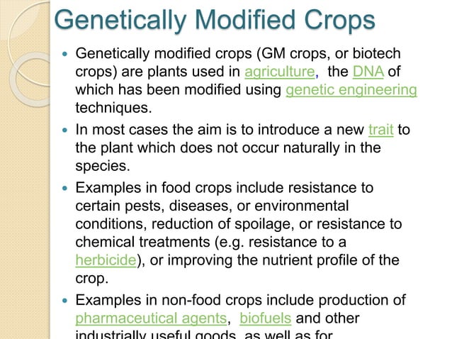 Gm os and social and ethical issues ppt | PPTX | Agriculture | Industries