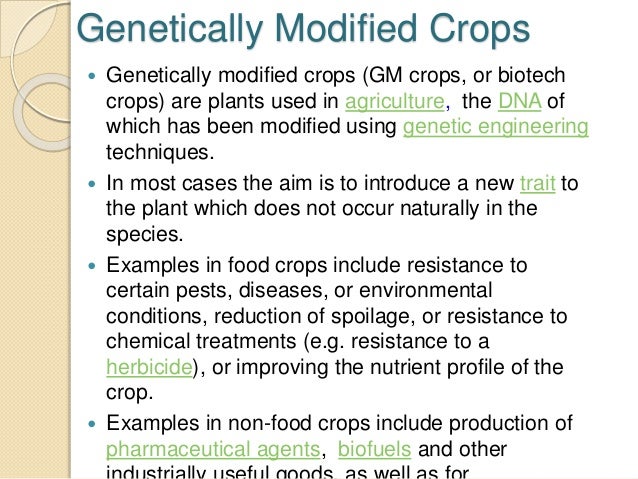 Aims Of Genetic Modification In Plants And Animals